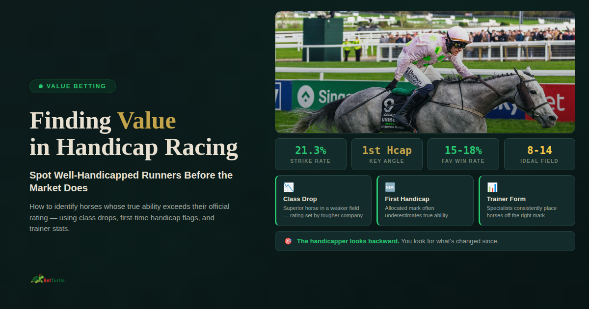Finding Value in Handicap Racing | BetTurtle Blog